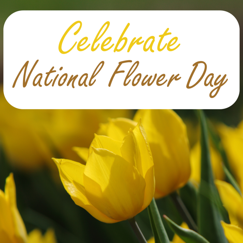 Three Ways for Your Business to Celebrate National Flower Day on Social ...